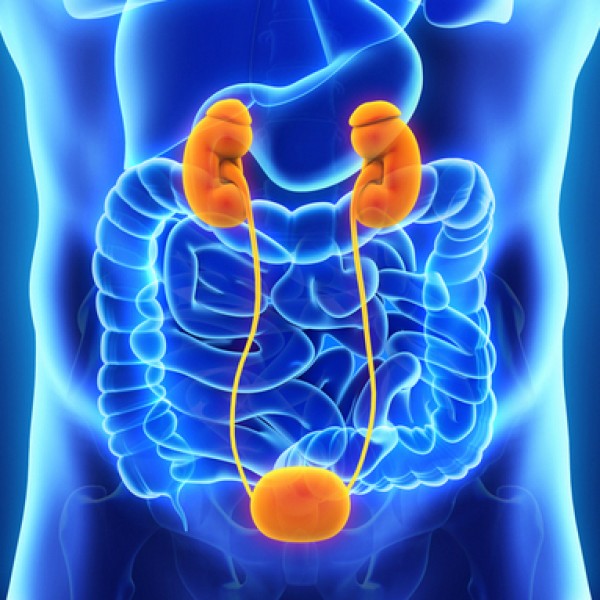 Produse din Categoria Sistem uro-genital - Biom.ro