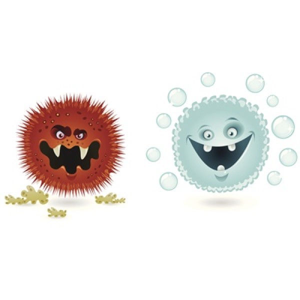 Microbiomul intestinal. Prieten sau dusman?